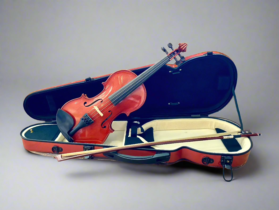 Maestro Canzona (1/8 Size) Violin Outfit by Red Violins – Adore Music